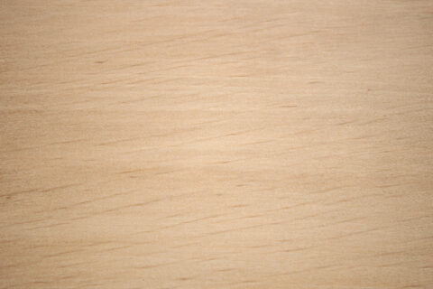 Holz-Datenbank Holzarten Holz-Werken