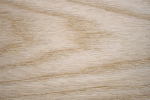 Holz-Datenbank Holzarten Holz-Werken